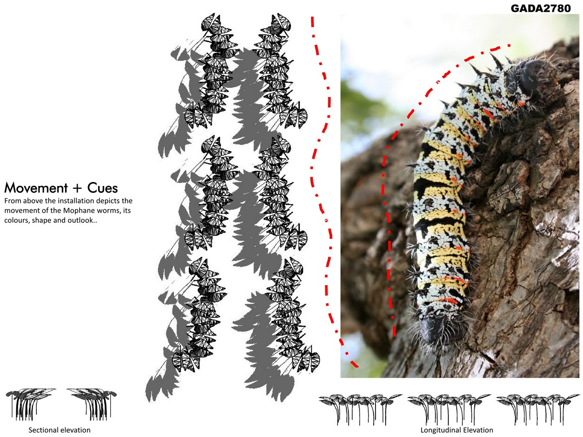 Mophane Harvest Shade Installation | Atelier Noua - Rethinking The ...