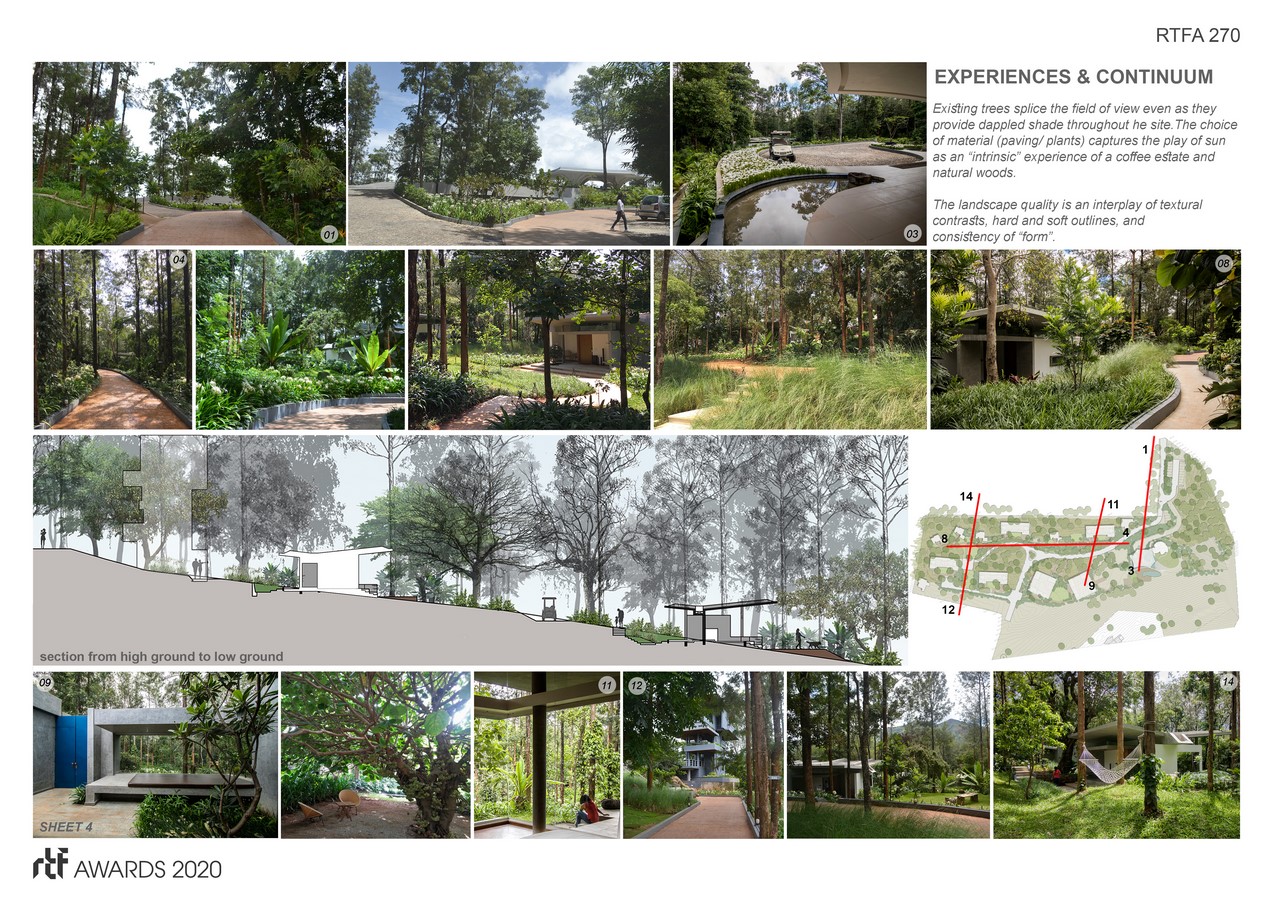 Java Rain | Ficus - Rethinking The Future Awards