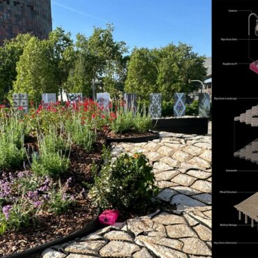 Feral Surfaces | Harrison Atelier - Rethinking The Future Awards